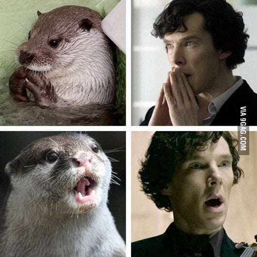 Find the differences - 9GAG