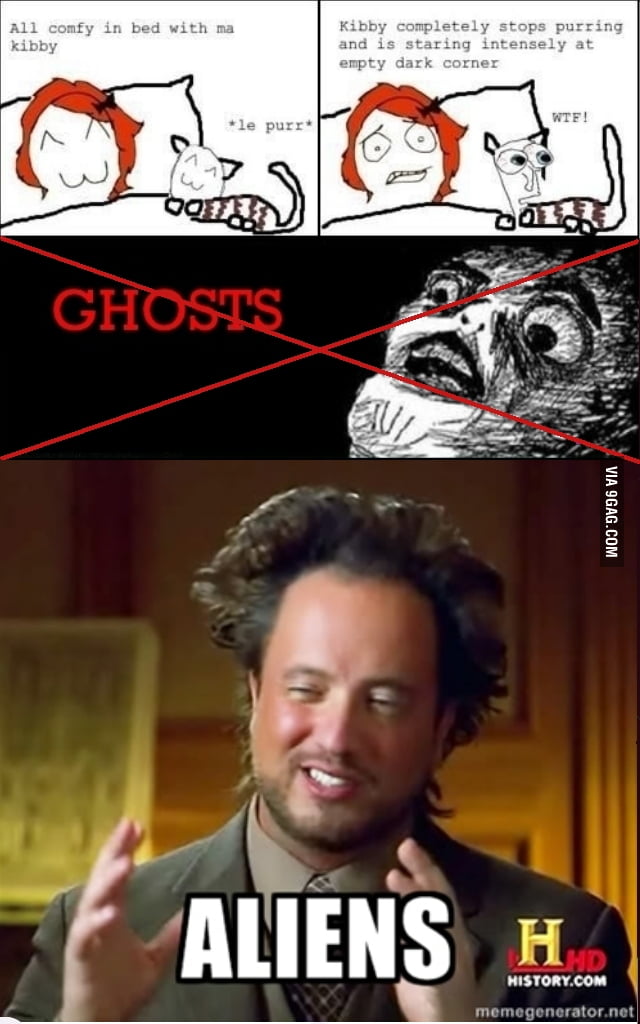 When your cat stops purring...[FIXED] - 9GAG