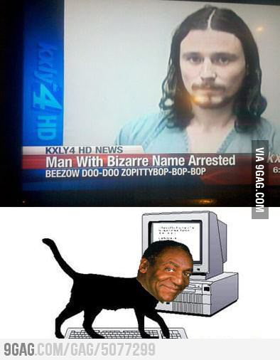 Oh, just bob-dilly-boob-doop - 9GAG