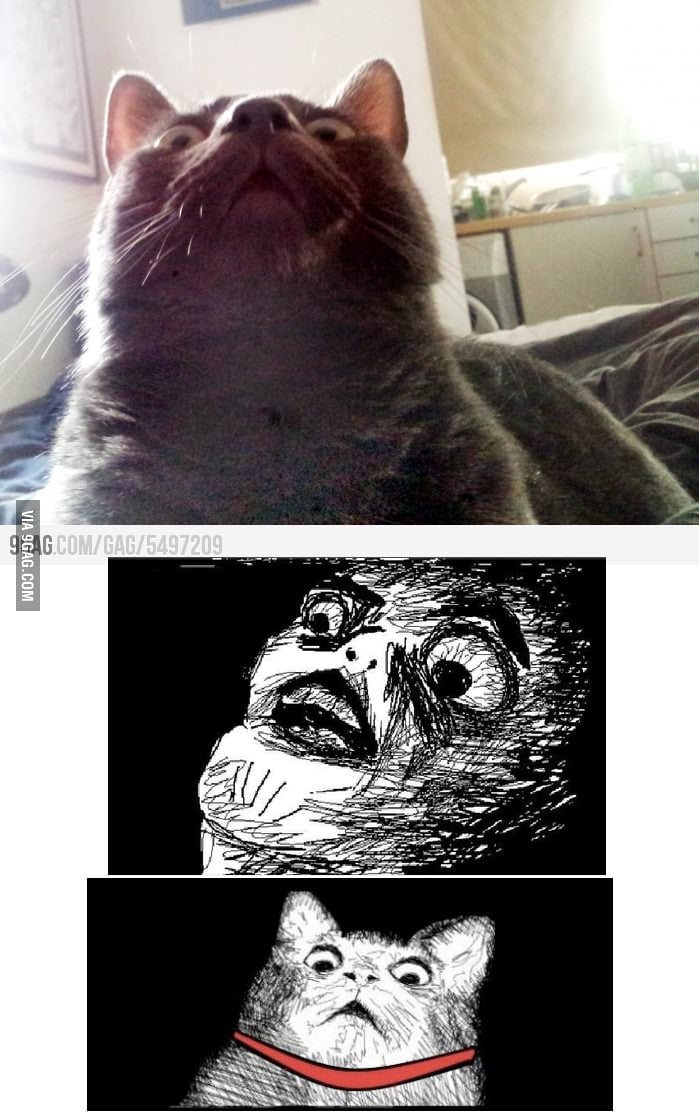 WTF rage cat! - 9GAG