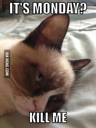 How I feel every Monday - 9GAG