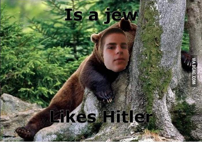 Politically awkward bear - 9GAG