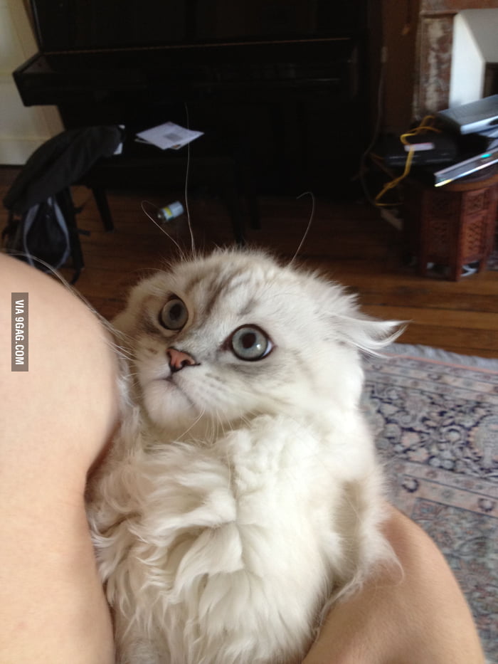 So shocked ! - 9GAG