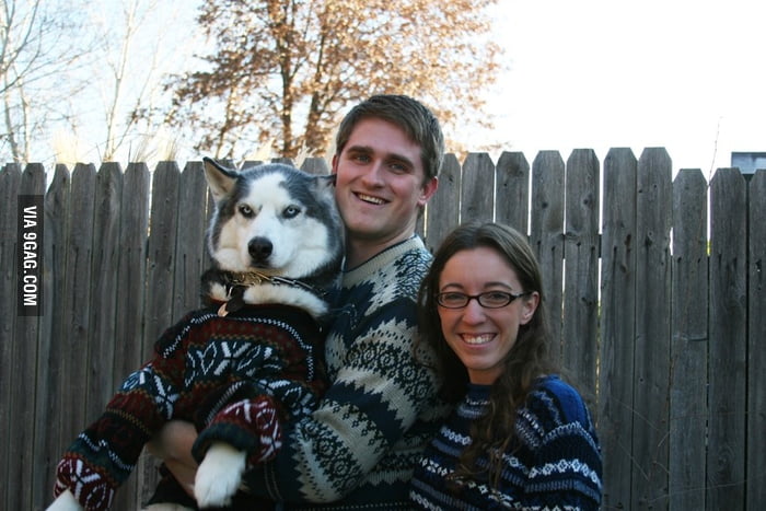 Unimpressed Husky - 9GAG