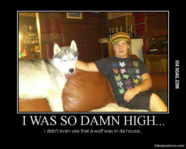 Damn, he was high.. - 9GAG