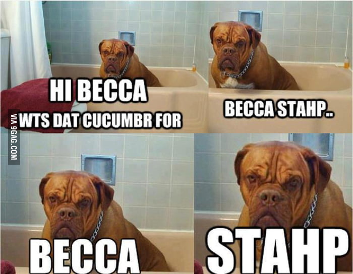 Becca Stahp Memes