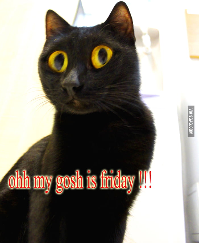 Ohh my gosh is friday !!!! - 9GAG