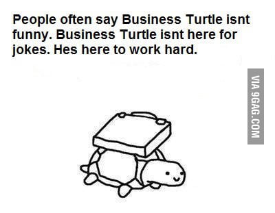 Business Turtle - 9GAG