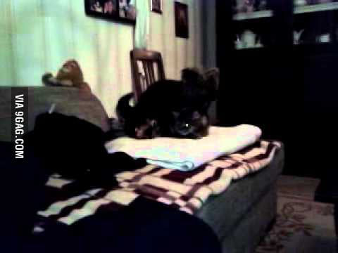 Something went terribly wrong - 9GAG