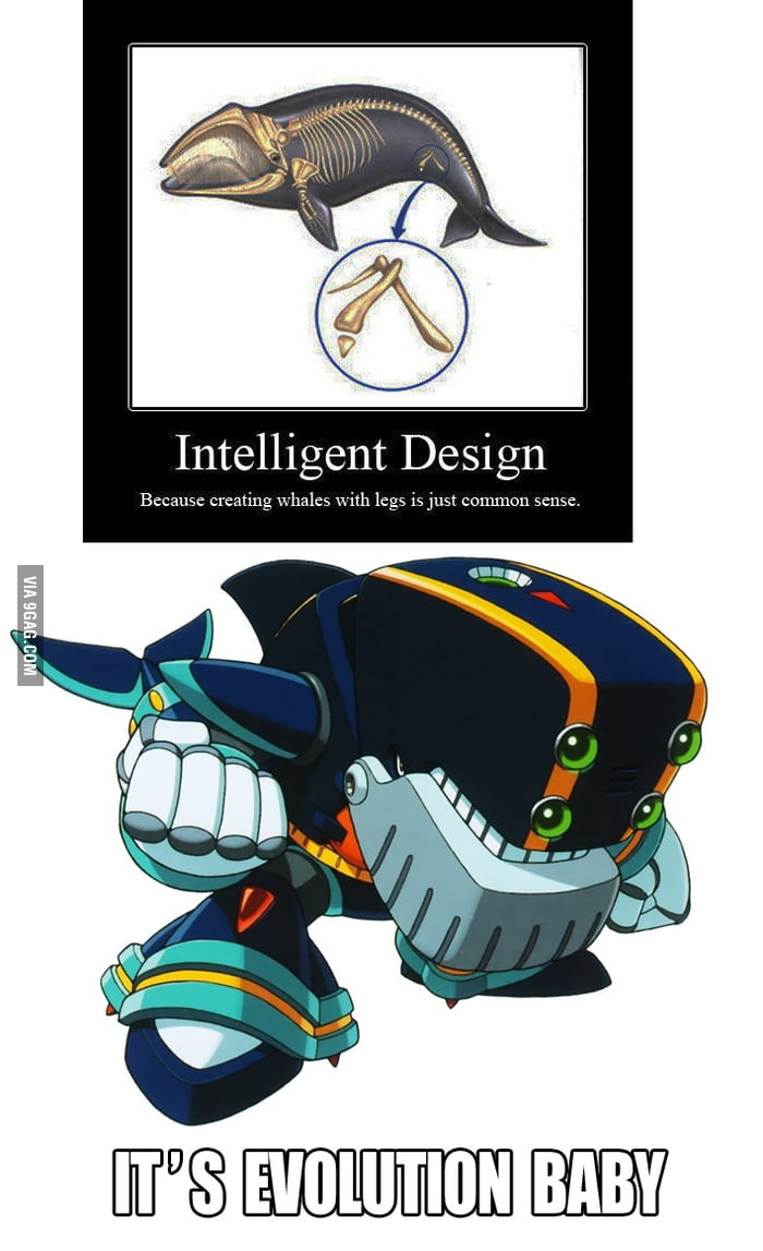 DO THE EVOLUTION - 9GAG