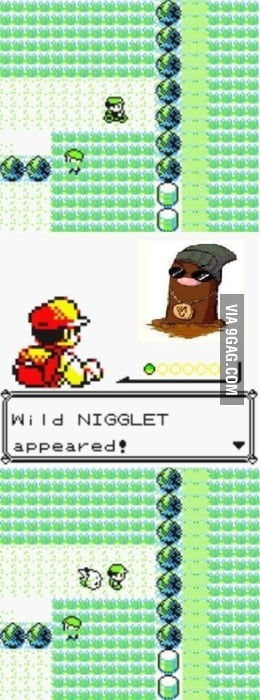 Wild NIGGLET appeared! - 9GAG