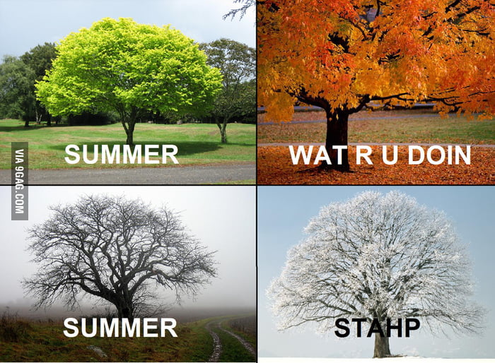 Summer...Wat R U Doin... STAHP - 9GAG