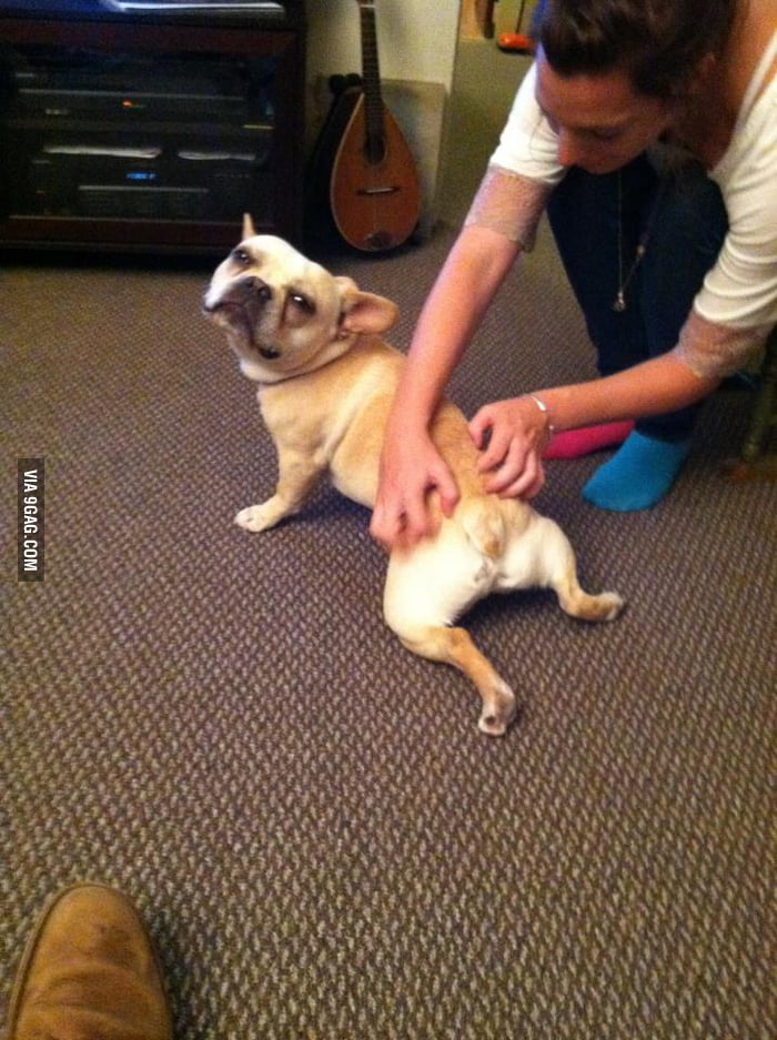 Yeah... right there...oh yeah baby. - 9GAG