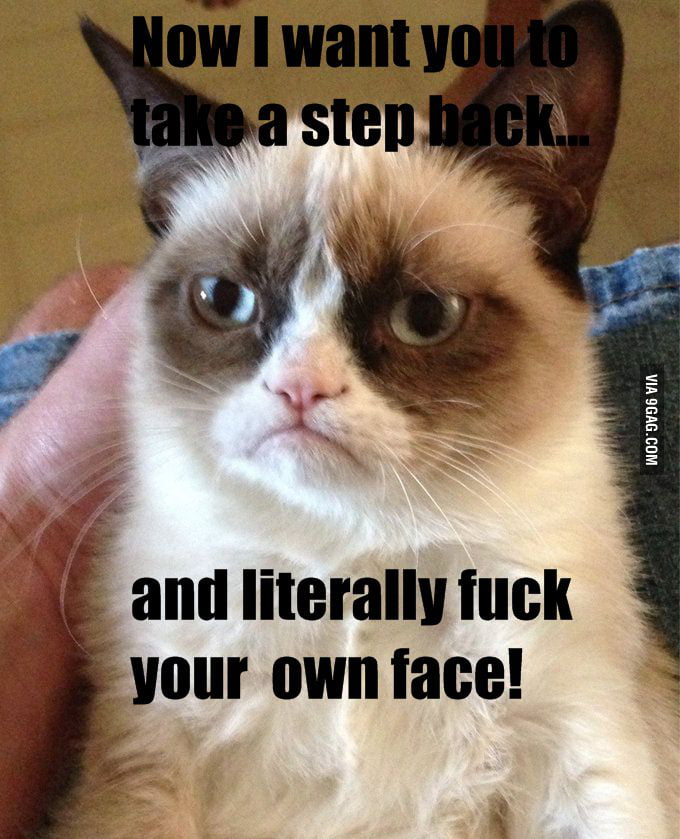 Grumpy cat - 9GAG