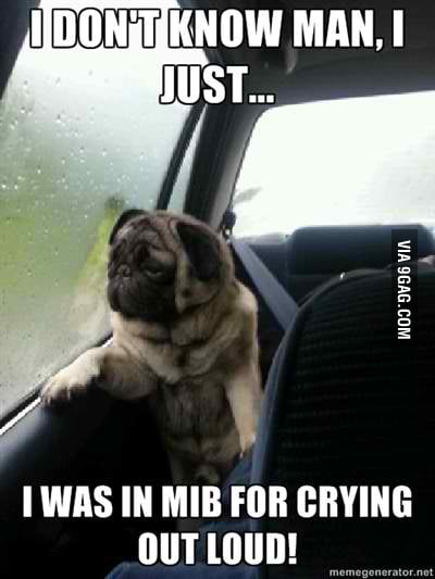 Frank The Pug On Lassie 9gag