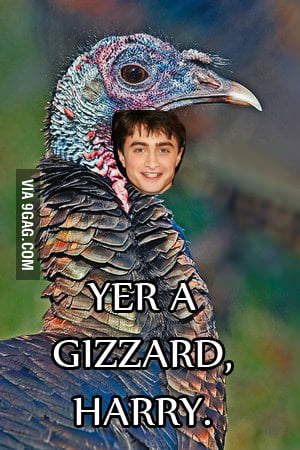 Yer a Gizzard, Harry - 9GAG
