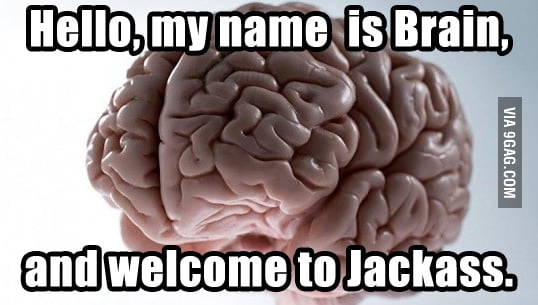 Hello, my name is Brain, and welcome to Jackass! - 9GAG