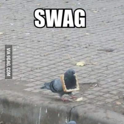 SWAG FAG