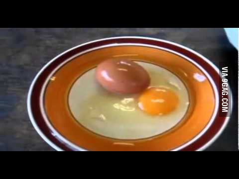 Egg-ception - 9GAG