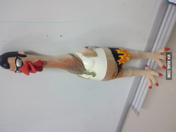 Dramatic chicken's awkward husband - 9GAG