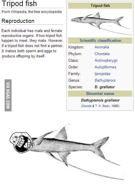 Forever Alone Fish - 9GAG