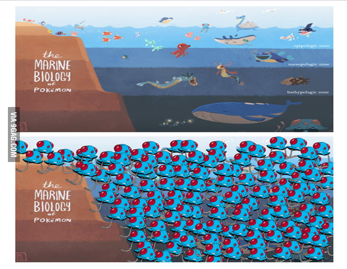 The true marine biology of Pokemon - 9GAG