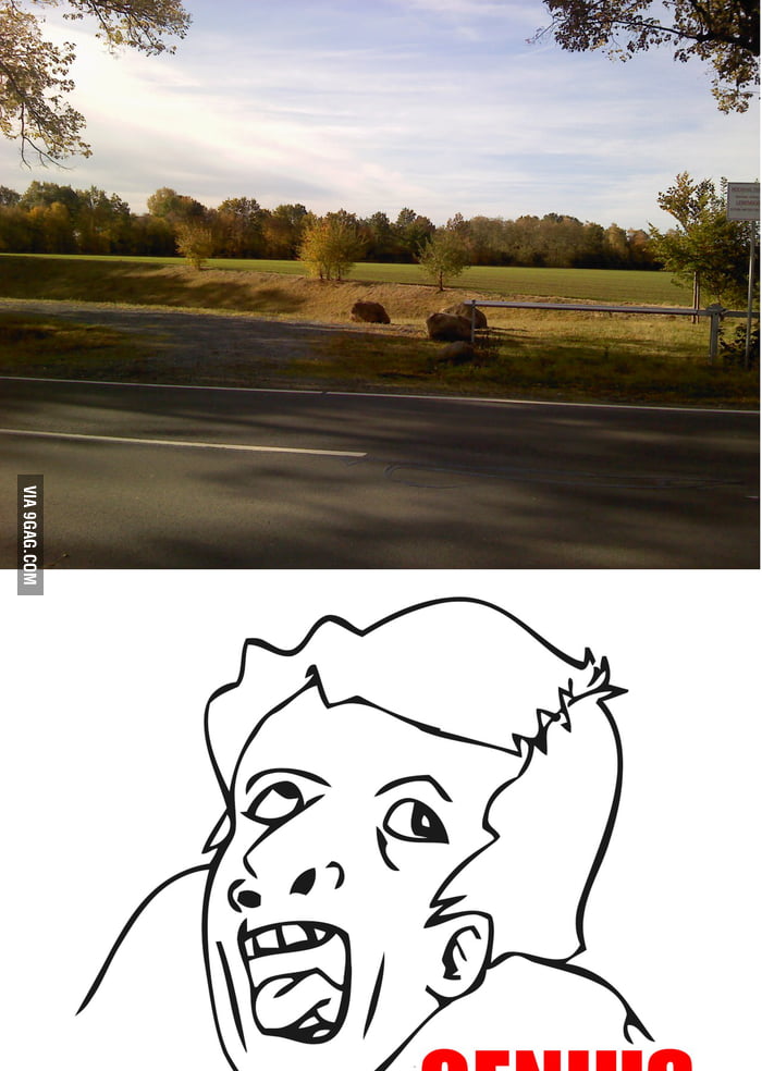 Genius Builder is Genius - 9GAG