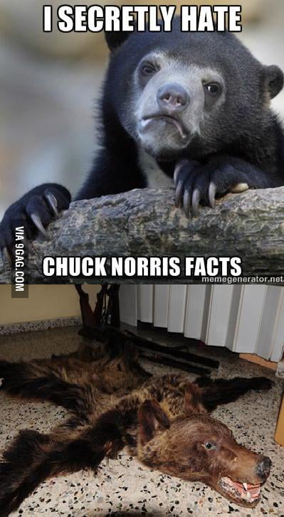 I´m sorry confession bear... - 9GAG