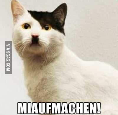 Kittler wants to get in - 9GAG