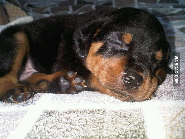 Heavy Sleeper - 9GAG