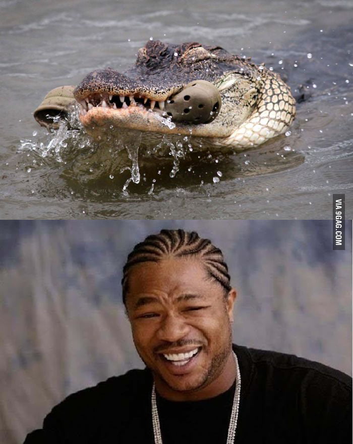 YO DAWG - 9GAG