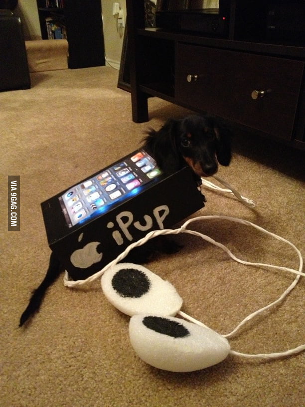 Apple iPup - 9GAG