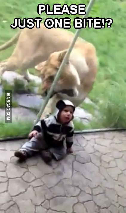 Please, just one bite!? - 9GAG