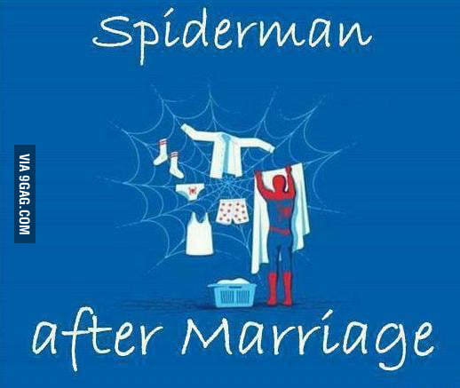 Spider After Marriage - 9GAG