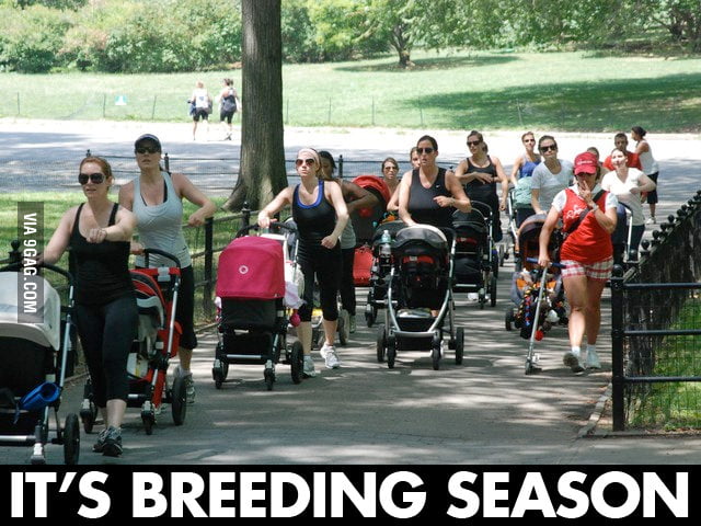 Breeding Season - 9GAG