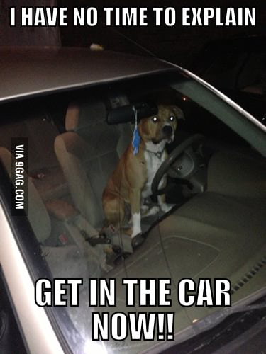 GETW IN ! - 9GAG
