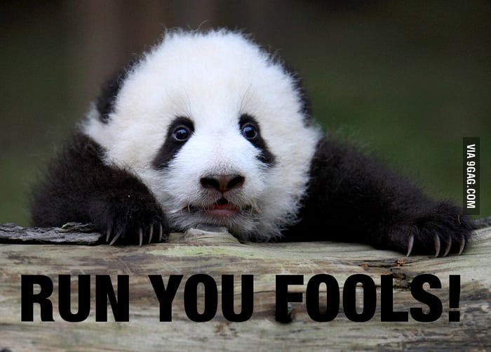 Panda says - 9GAG