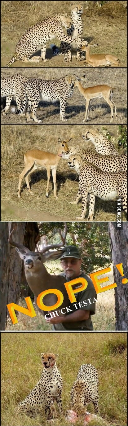 TRUST (FIXED) - 9GAG