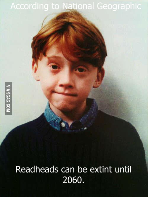 Redheads 9gag