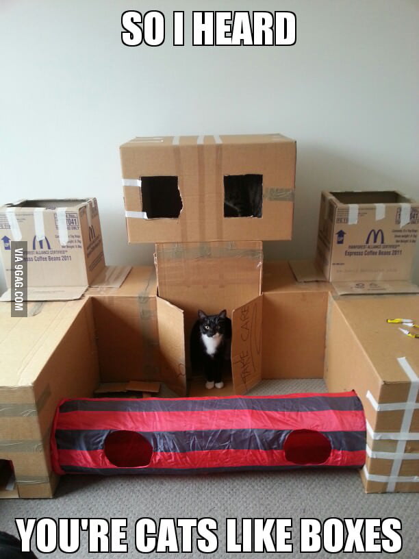 Just made this for my cats with old moving boxes - 9GAG