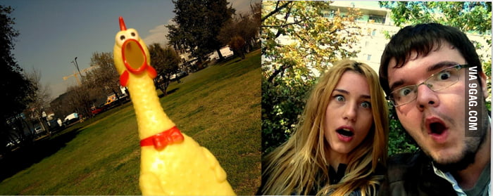 Dramatic chicken strikes again! - 9GAG