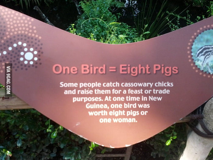 In New Guinea: One Bird = Eight Pigs = One Woman - 9GAG