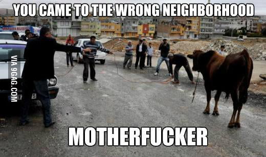 Meanwhile in Turkey - 9GAG