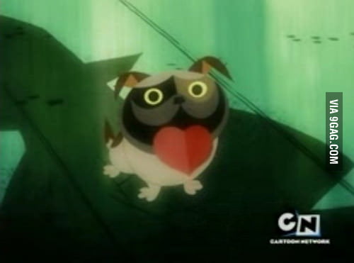 Lulu, sweet thing... - 9GAG