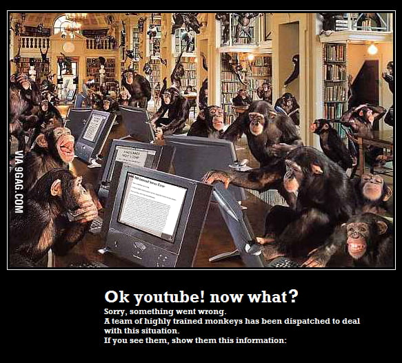 The youtube trained monkeys - 9GAG