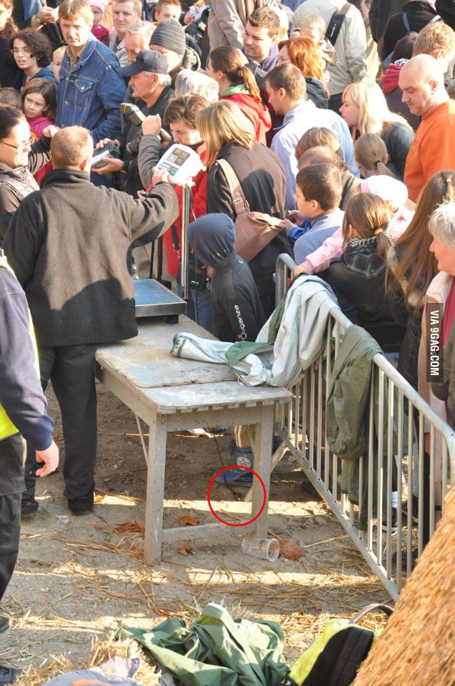 Meanwhile in Hungary - 9GAG