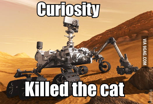Bad Curiosity, bad! - 9GAG