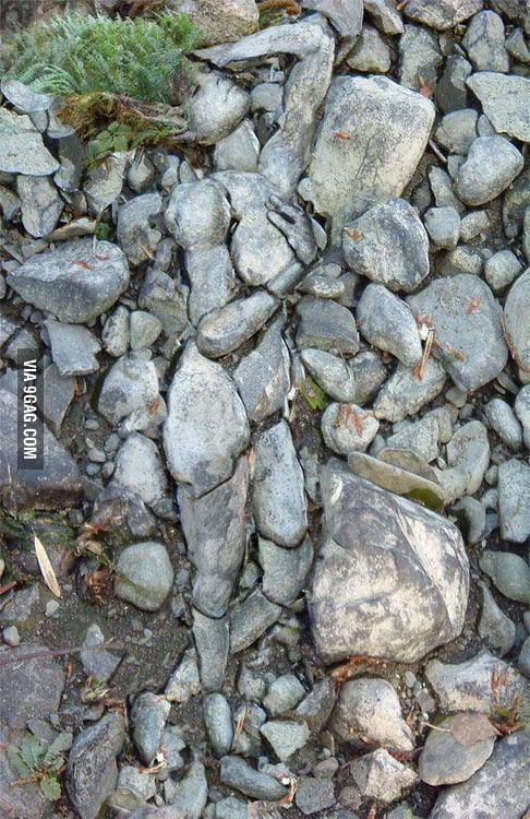 When you see it...Awesome!! - 9GAG