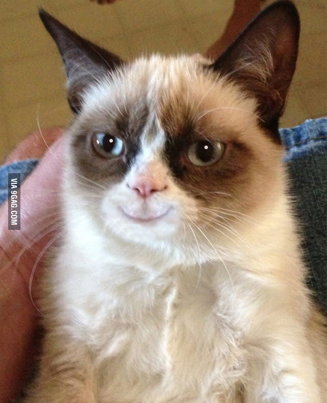 Frown Upside Down Cat - 9GAG