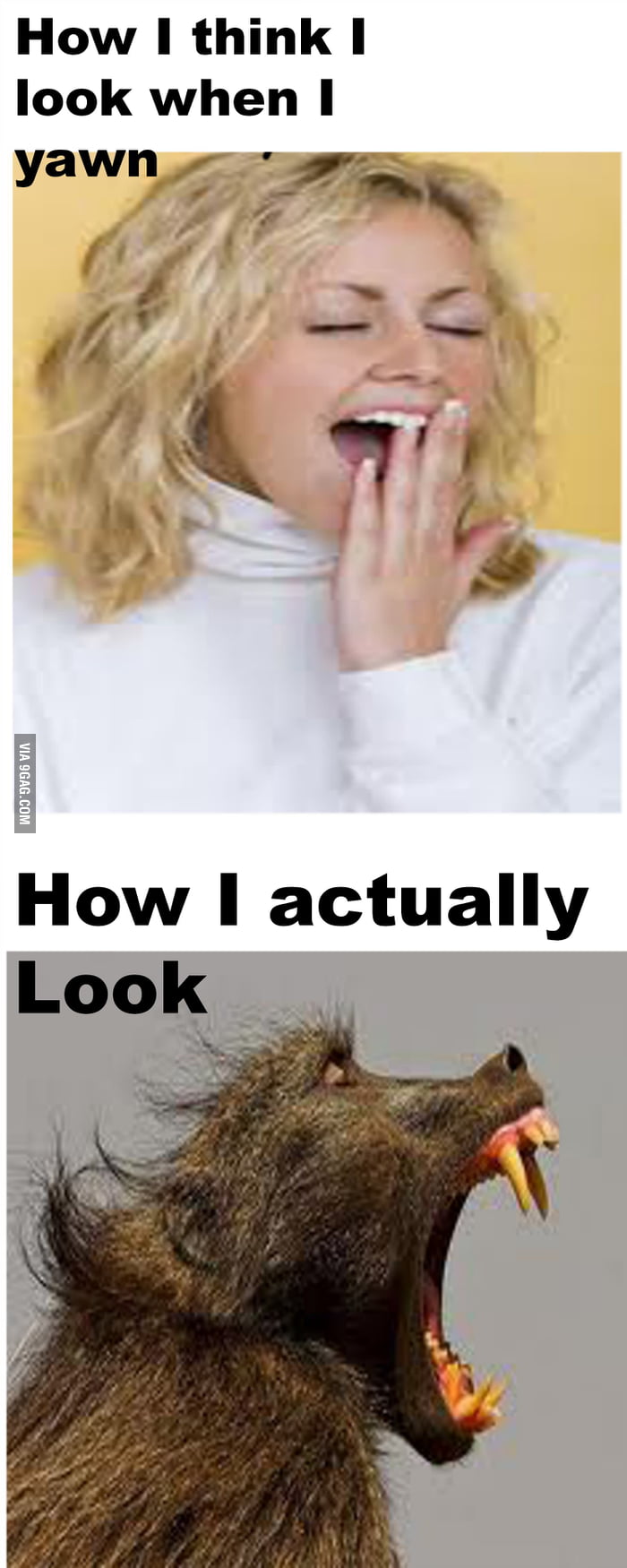 The Sad Truth - 9GAG